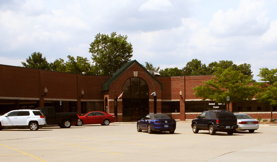 Garfield Animal Hospital - Icon Development